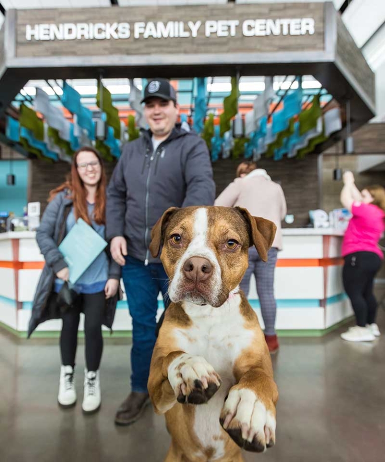 How We Work - Hendricks Family Foundation